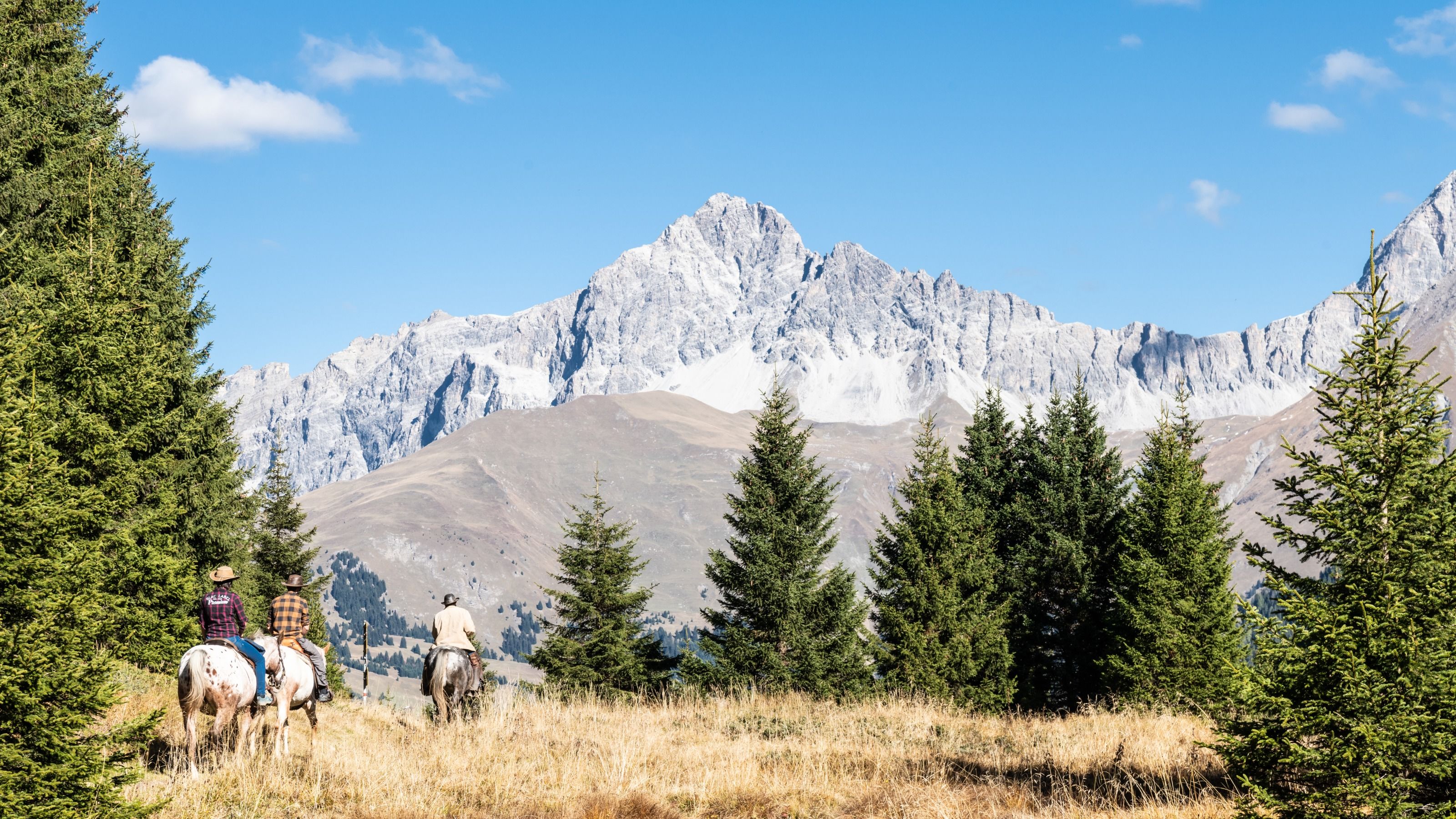 val-surses-savognin-bivio-suisse-tourisme